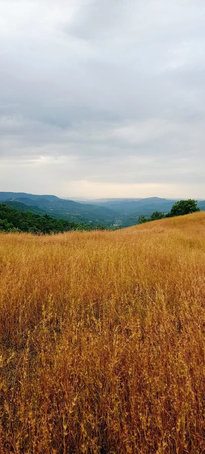 Very Beautiful Mountain Valley Scene Stock Photo - Image of plant, tree ...