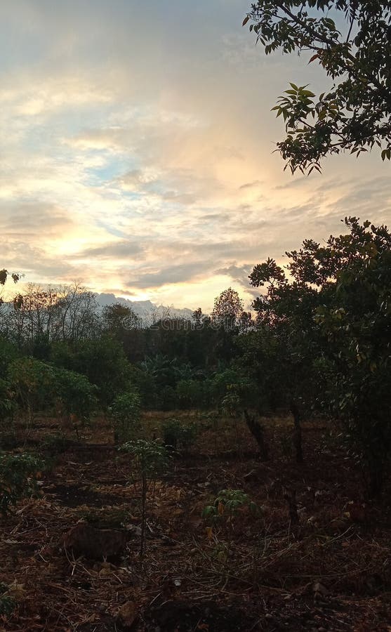 A Very Beautiful Painting of the Divine, a Depiction of the Power of ...