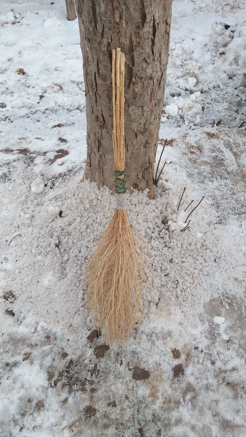 Besom stock photo. Image of evening, snow, tree, besom - 136088580