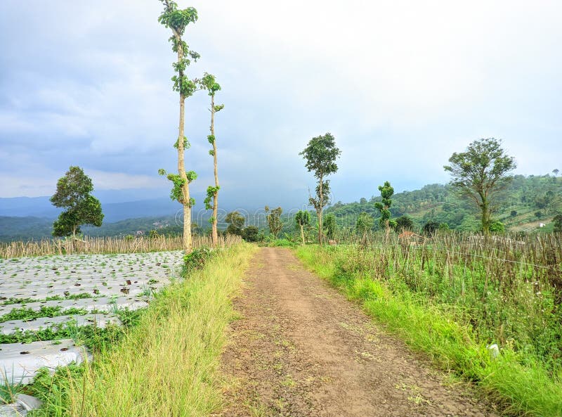Very Beautiful Picture of a Road in the Countryside Stock Photo - Image ...