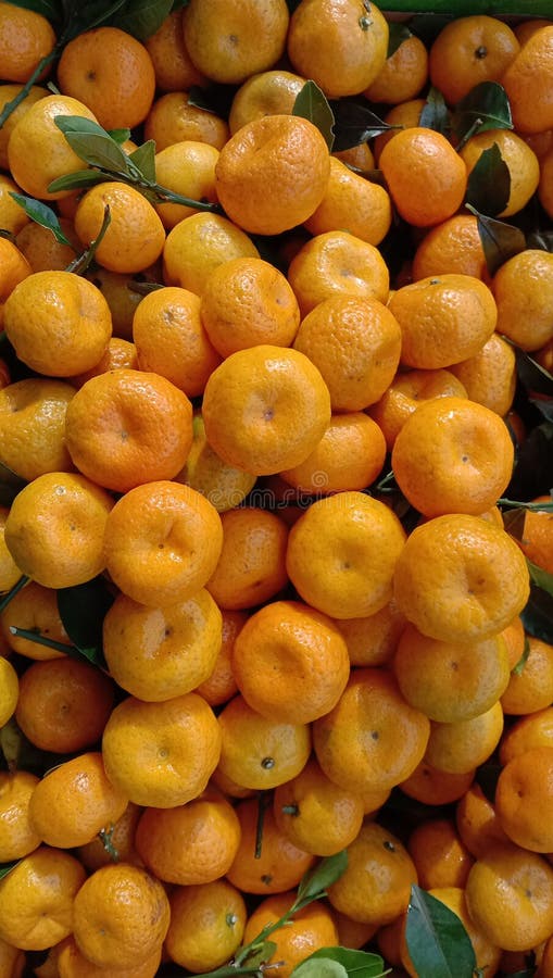 This is a Very Beautiful Santang Mandarin Fruit and of Course Very ...