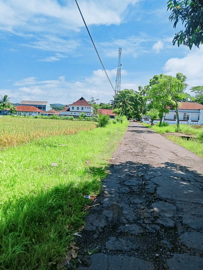 Very Beautiful Scenery, Natural Atmosphere that Makes You Feel Cool ...