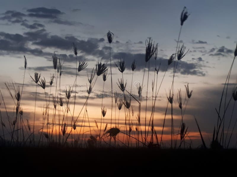 Very Beautiful Sky View at Dusk Stock Photo - Image of beautiful, dusk ...