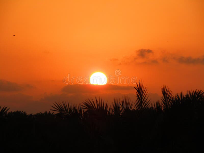 Very Beautiful Sun Set and Orange Sky. Stock Image - Image of orange ...