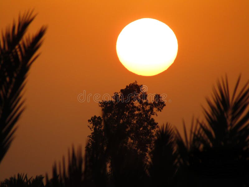Very Beautiful Sun Set in Tree Top. Stock Image - Image of sunset ...