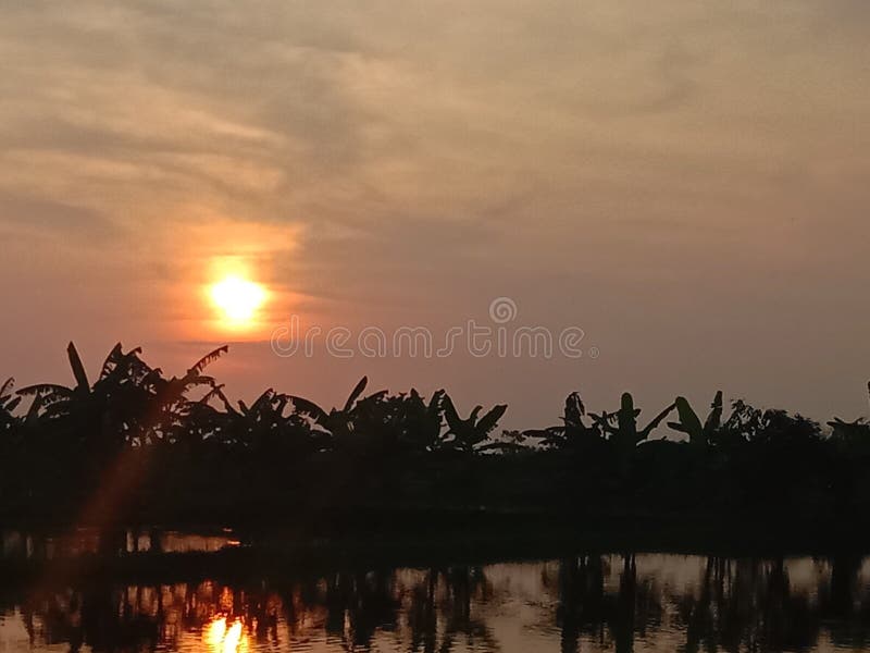 Very Beautiful Sunrise in the Rice Fields Stock Photo - Image of ...