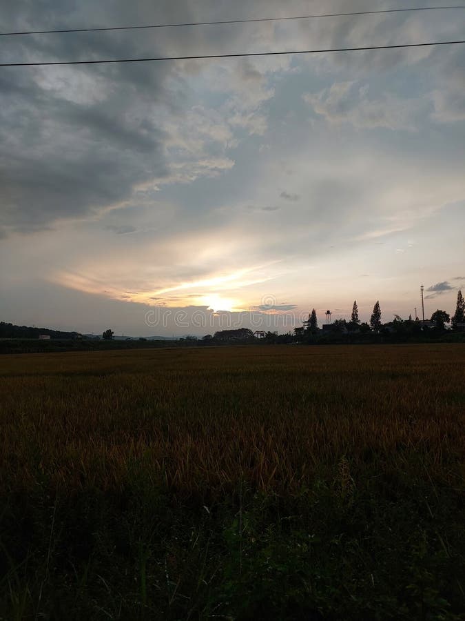 Very Beautiful Sunset on the Edge of the Rice Fields Stock Image ...