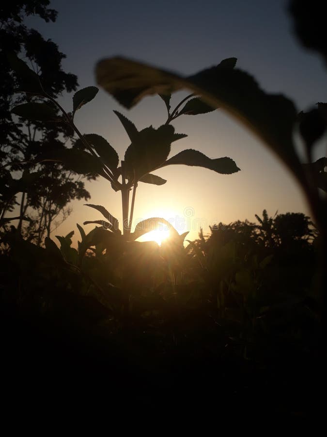 Very Beautiful Sunset Moments with Beautiful Nature Stock Image - Image ...