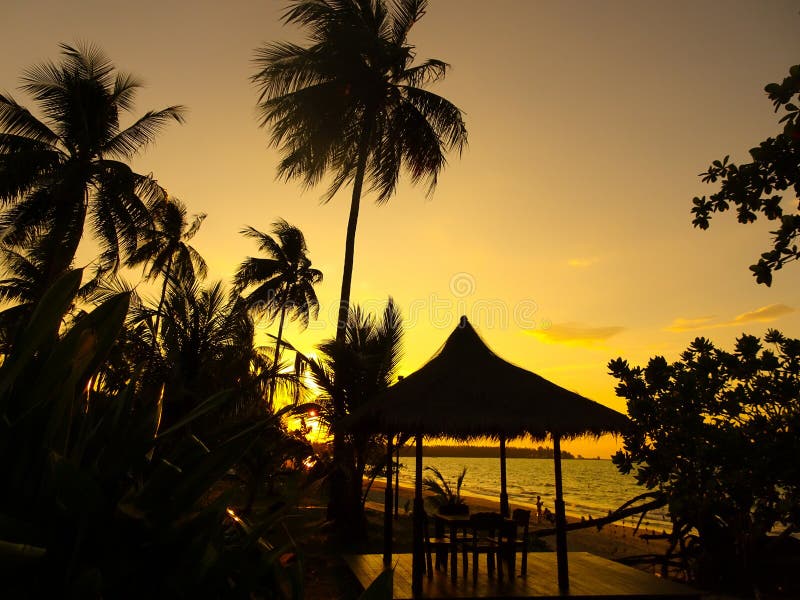 Sunset on the sandy beach stock image. Image of beach - 107441515