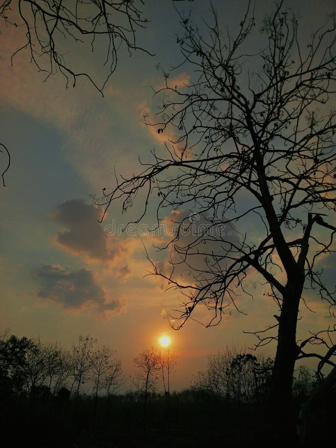 Very beautiful sunset stock photo. Image of beautiful - 305620260