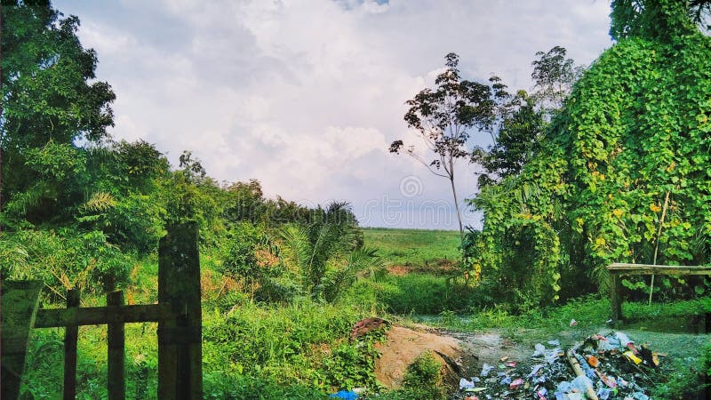 Very beautiful view stock photo. Image of pepohonan - 253698562