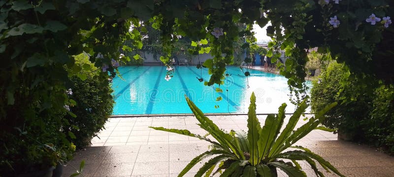 Very Beautiful View of the School Swimming Pool Stock Image - Image of ...