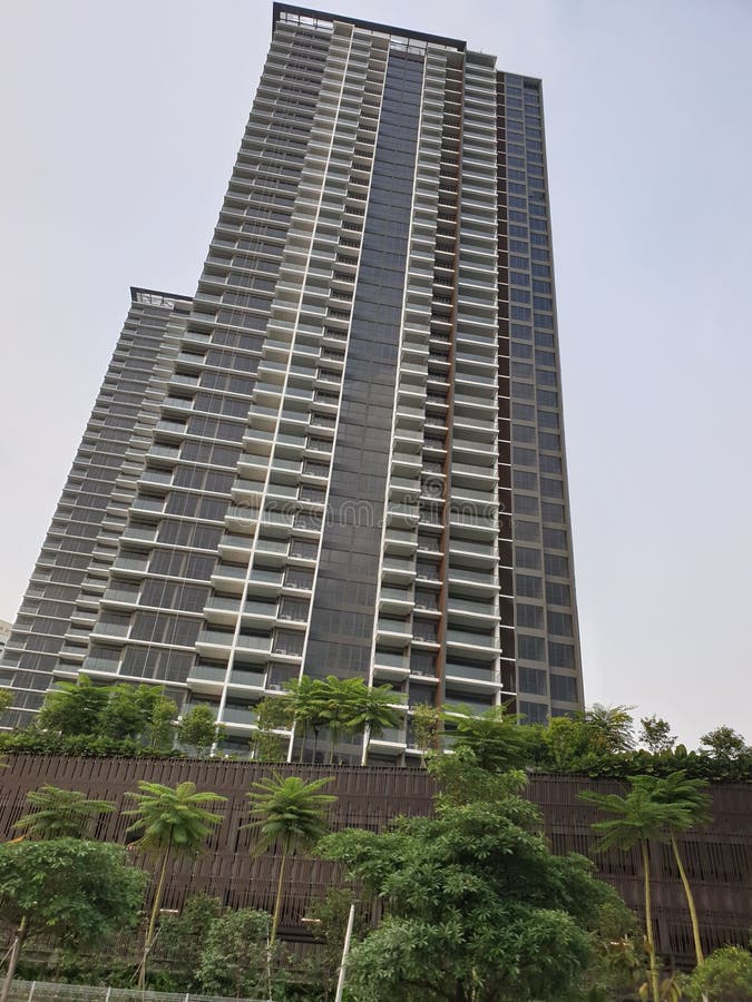 The Very Beautiful View with Two Modern Building Behind the Tree Stock ...