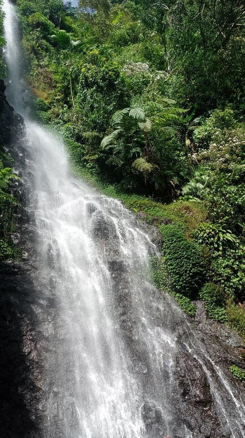 Very Beautiful View of the Waterfall Stock Photo - Image of forest ...