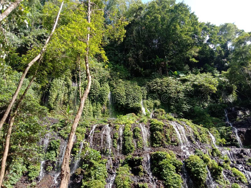 A Very Beautiful Waterfall and Trees Stock Image - Image of beautiful ...