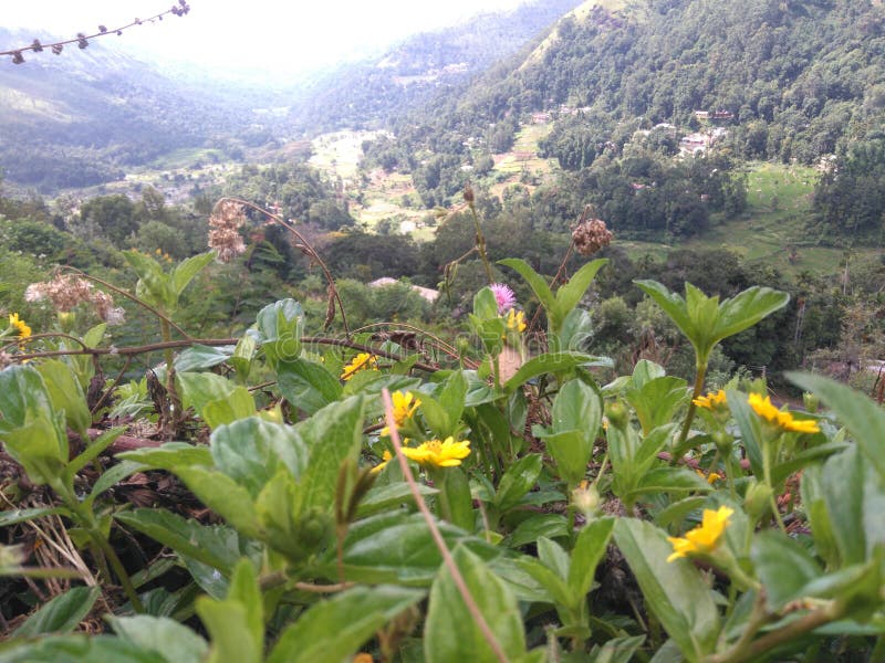 Mountain Range Badulla Sri Lanka Stock Photo - Image of timecaptured ...