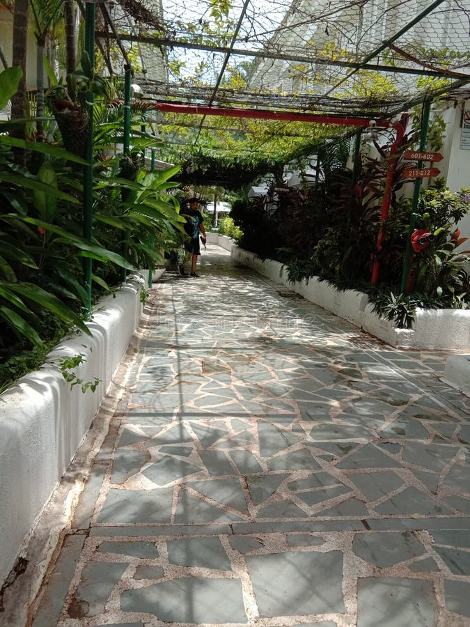 Very Beautifully Decorated Entrance and Duly Sheltered with Greenery ...