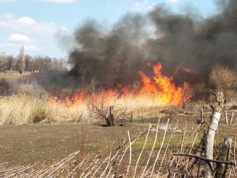 Very big fire stock image. Image of wonderful, phenomenon - 170137415