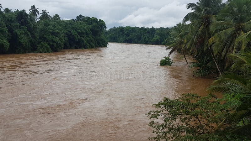 Ma oya river in sri lanka stock image. Image of coconut - 120561691