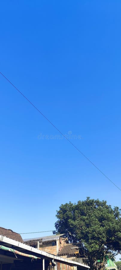 Very Bright Blue Sky, Lush Green Trees Stock Photo - Image of lush ...