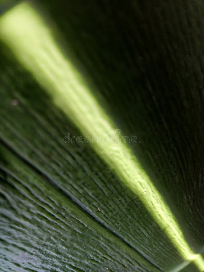 Very Bright Laser Beam-like Sunshine Projected on a Green Polyethylene ...