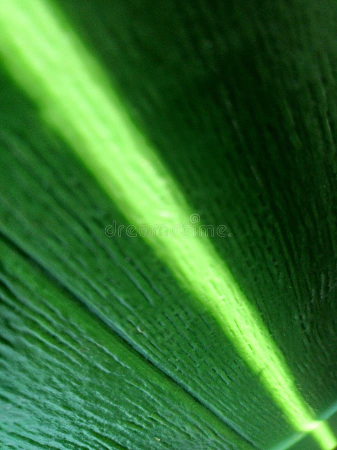 Very Bright Laser Beam-like Sunshine Projected on a Green Polyethylene ...