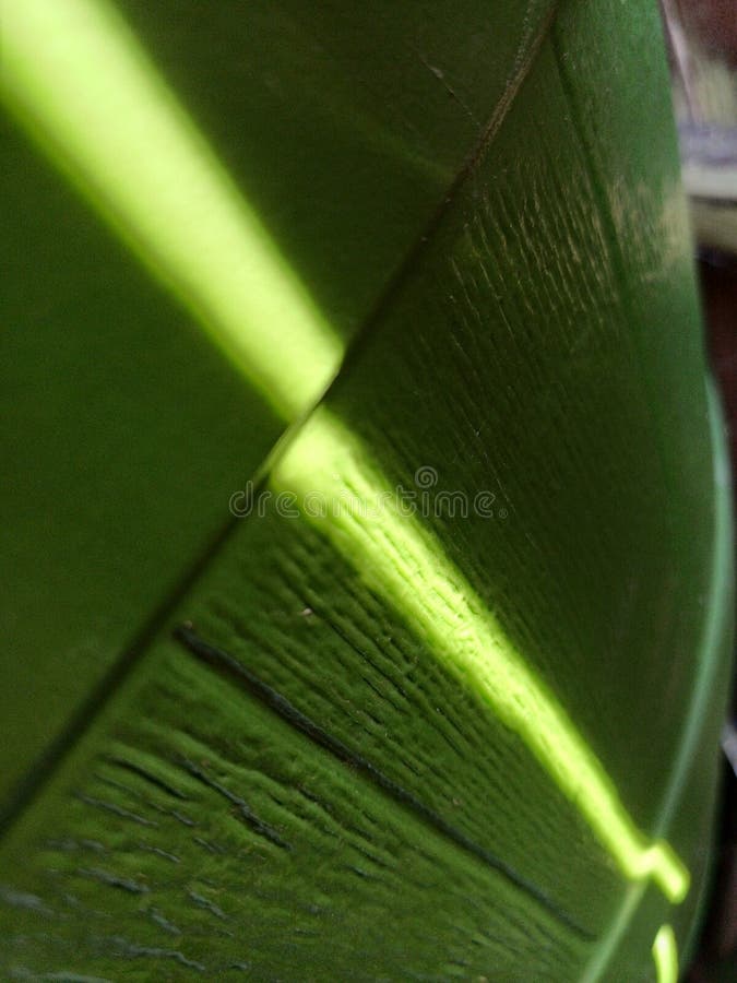 Very Bright Laser Beam-like Sunshine Projected on a Green Polyethylene ...