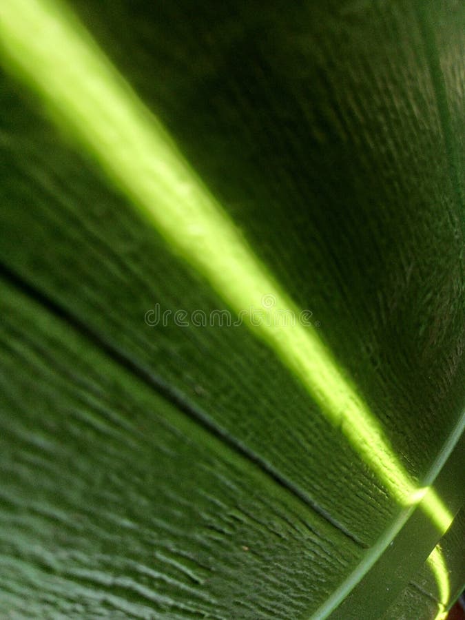 Very Bright Laser Beam-like Sunshine Projected on a Green Polyethylene ...
