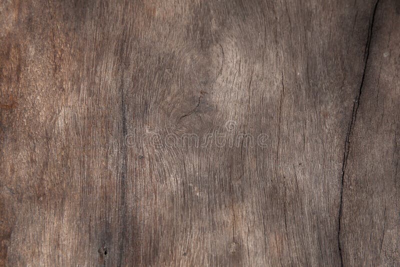 Very Clean and Smooth Texture of Tree Stock Image - Image of plank ...