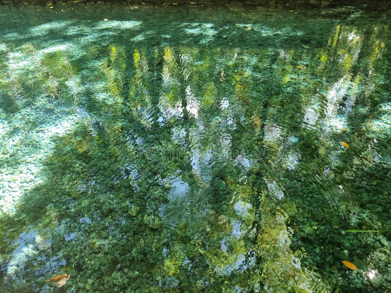 Very clean of spring water stock image. Image of water - 373419539