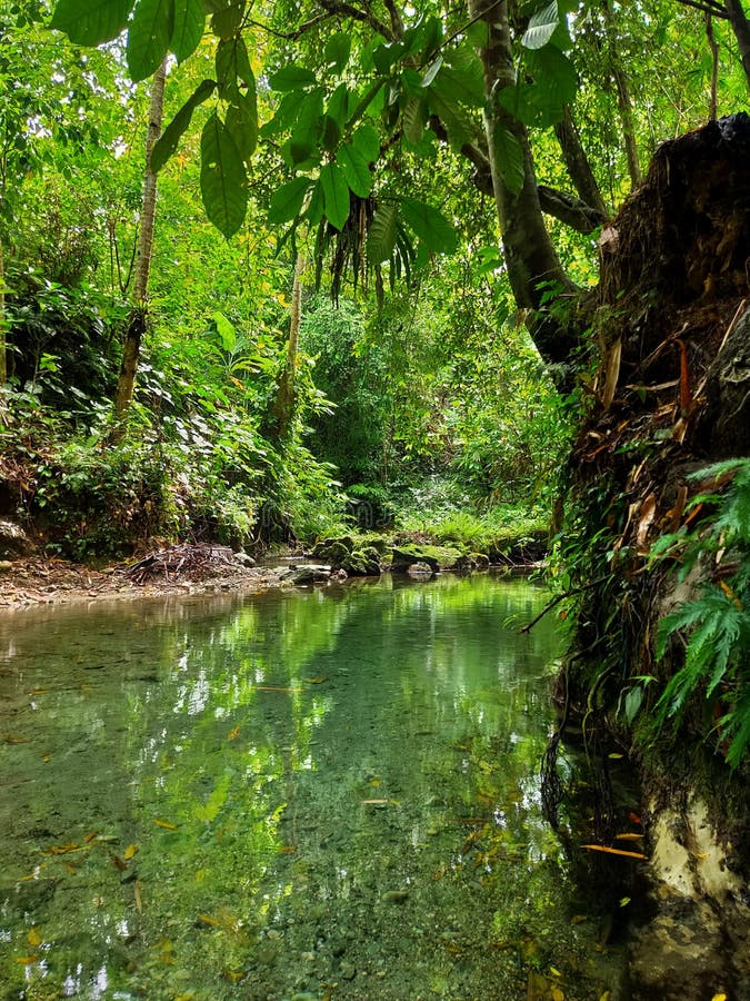 Very Clear and Beautiful River Stock Image - Image of river, stream ...