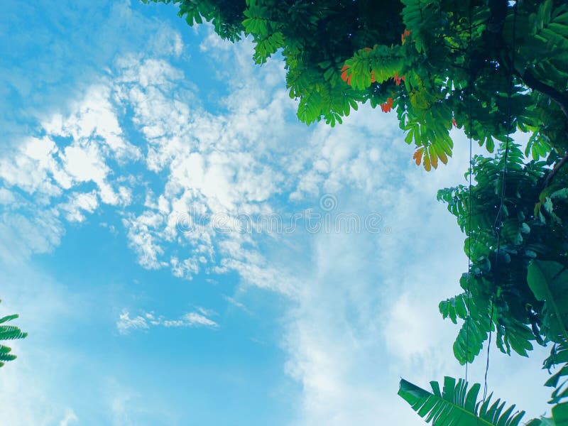 Very clear beautiful sky stock image. Image of cloud - 249809359