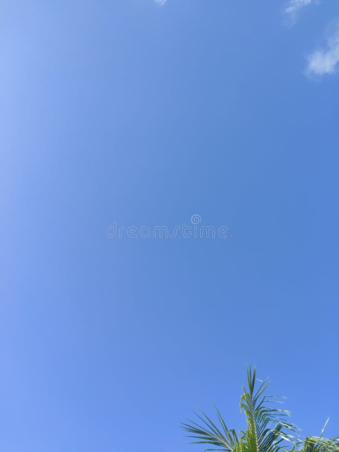 Very clear blue sky stock photo. Image of presentation - 203565878