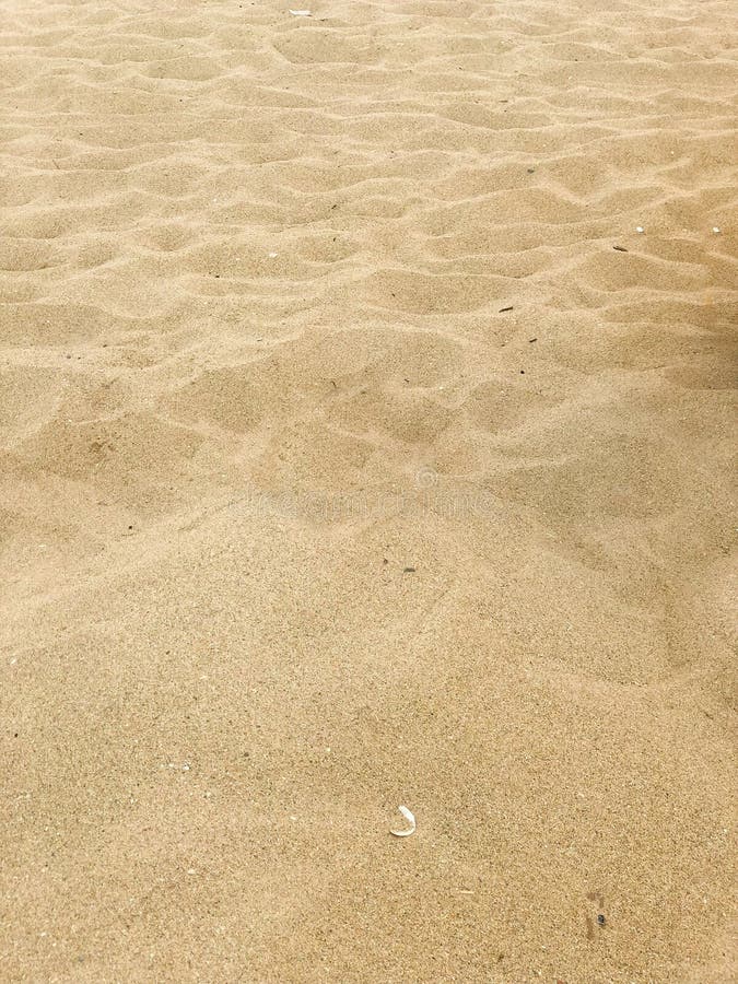 Very clear golden sand stock photo. Image of soft, dazzling - 268206742