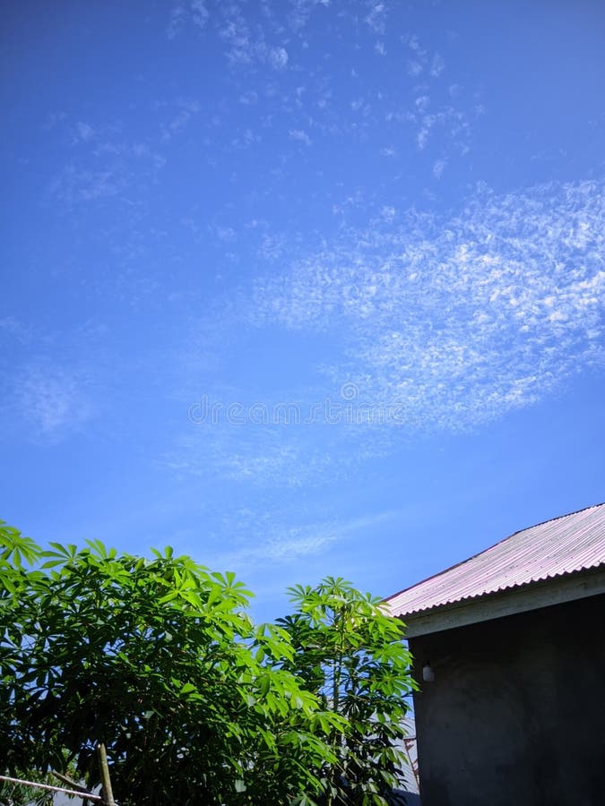 Very clear sky stock image. Image of sunlight, plant - 306206981