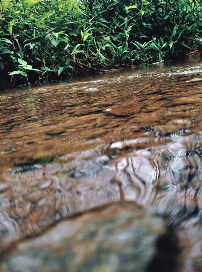 Very clear water stock image. Image of view, water, clear - 269102713