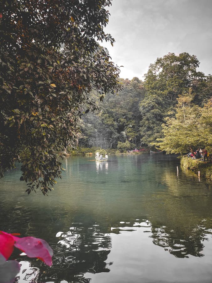 Very Clear Water in a Place Called Situ Cipanten Di Majalengka in West ...