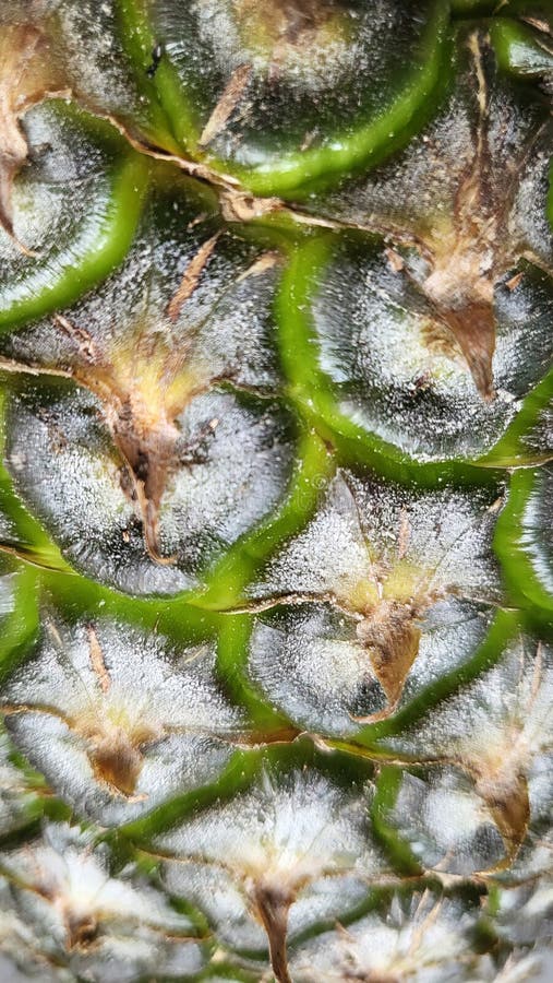Very Close Surface Detail of Pineapple Fruit Peel Stock Image - Image ...