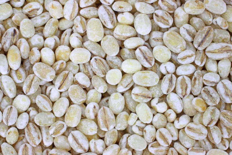 Very Close View of Pearled Barley Stock Photo - Image of processed ...