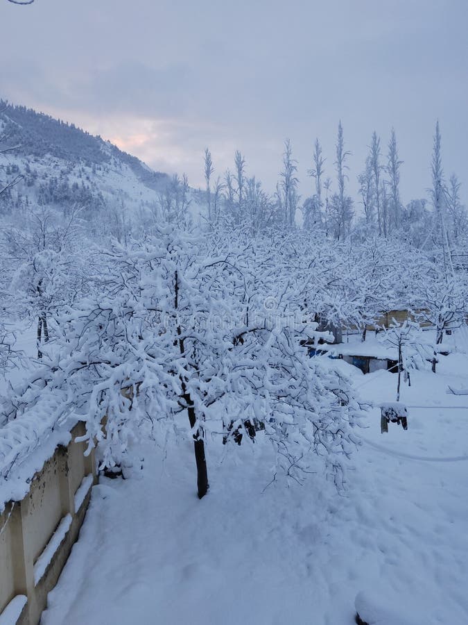 Very cold area in aripal stock image. Image of aripal - 206719349