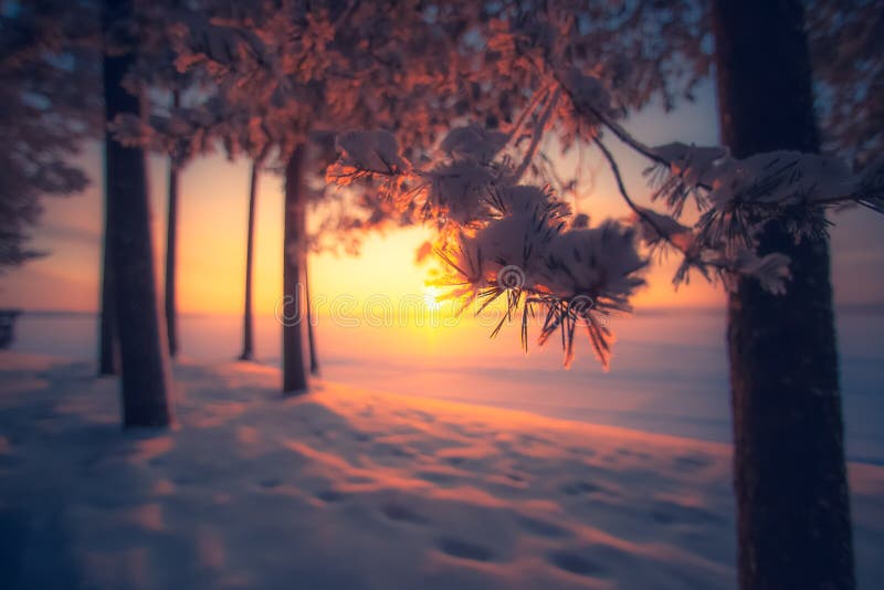 Very Cold Day Sunset Scenery from Sotkamo, Finland. Stock Image - Image ...