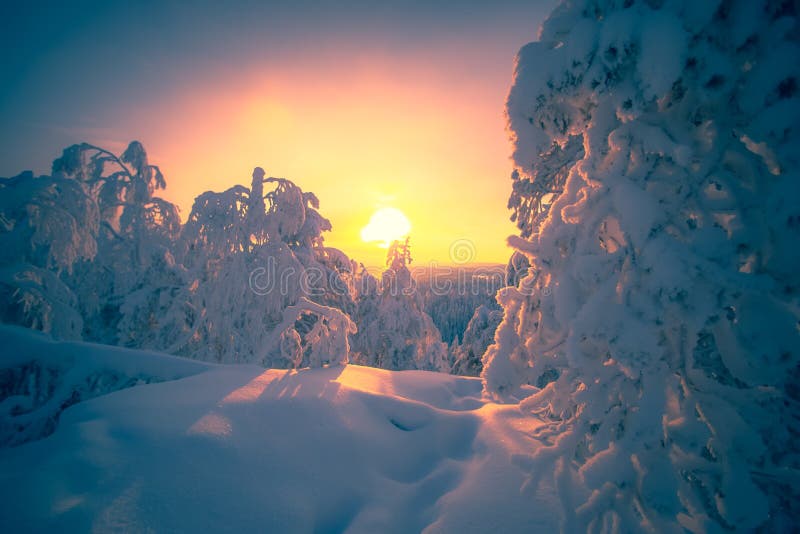 Very Cold Day Sunset Scenery from Sotkamo, Finland. Stock Photo - Image ...