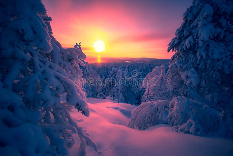 Very Cold Day Sunset Scenery from Sotkamo, Finland. Stock Image - Image ...