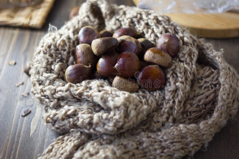 Very Cold - Frozen Chestnuts on Scarf. Stock Image - Image of vegan ...