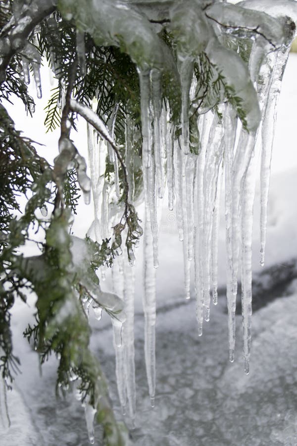 Very Cold Winters with Snow, Ice and Icicles Stock Image - Image of ...