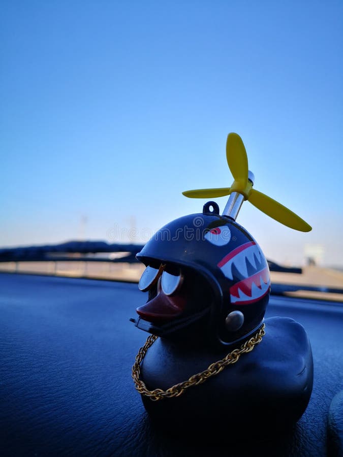 Very Cool Duck with a Helmet Stock Image - Image of duck, skay: 342309549