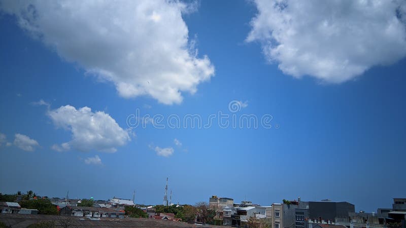 Cool View of the Forest in the Afternoon Stock Photo - Image of ...