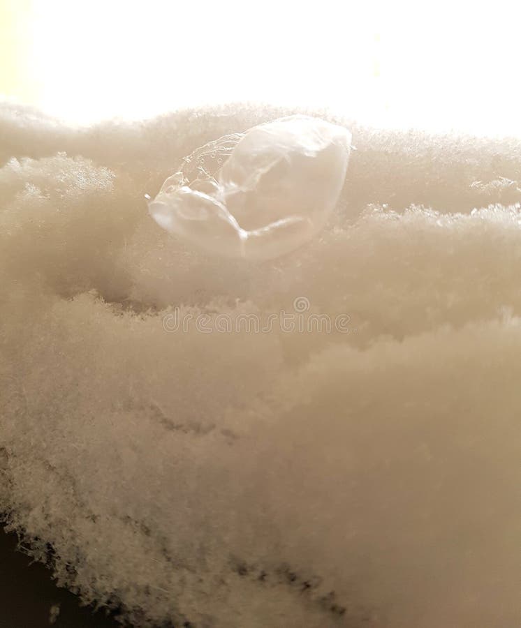 Popped Frozen Bubble on Snow Stock Image - Image of delicate, bubble ...