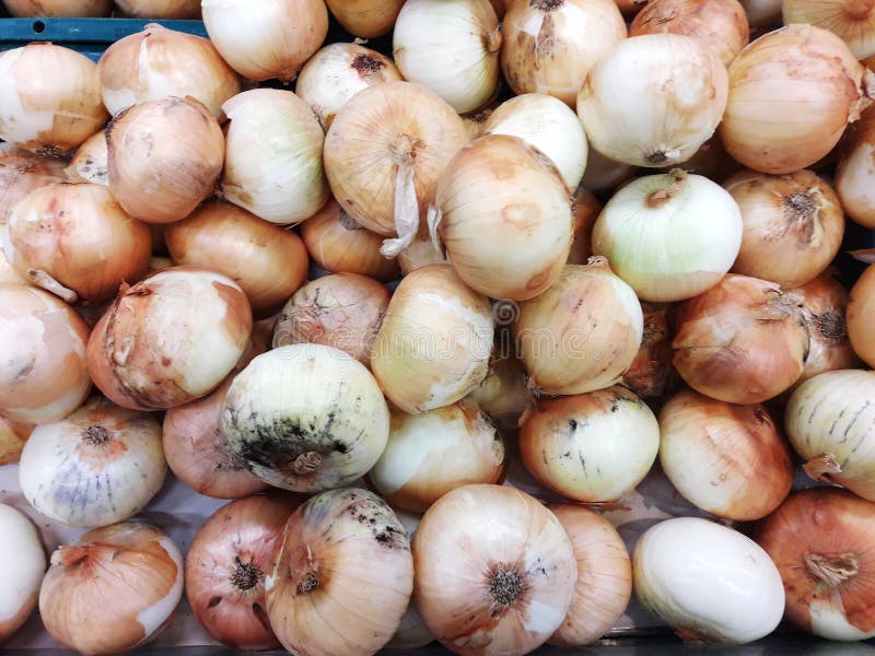 Onion stock photo. Image of delicious, onion, maket - 117030792