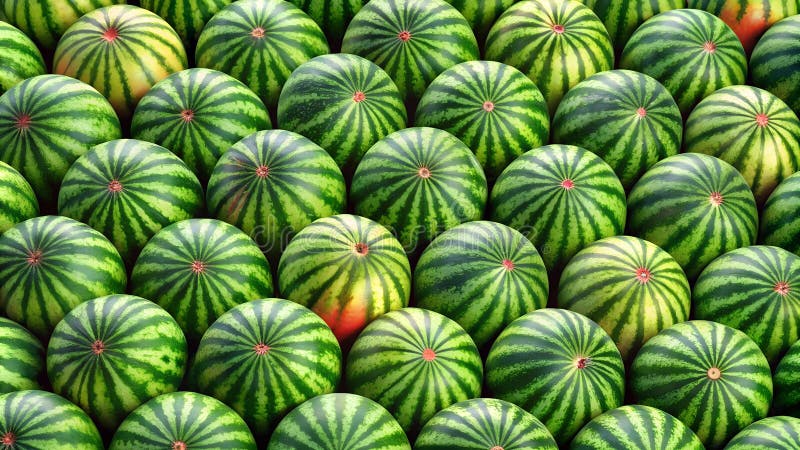 A Very Dense Pattern of Hyperrealistic and Photographic Watermelons ...
